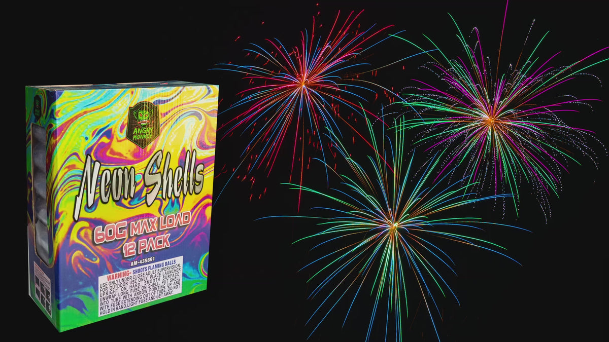 Neon Shells – PJF Wholesale
